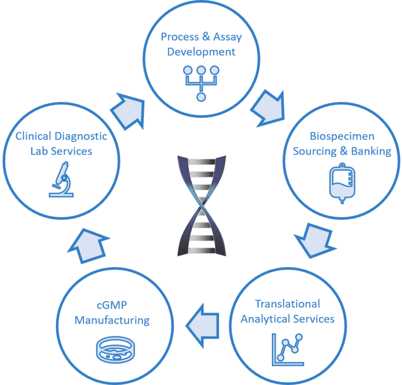 About HAL - Carolina BioOncology Institute