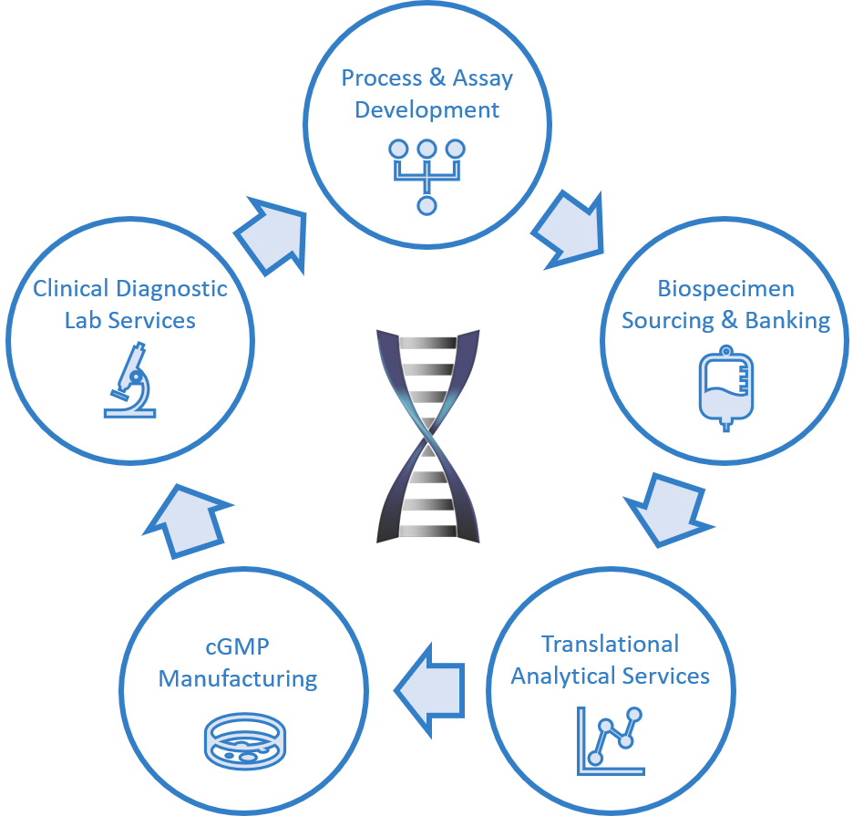 About HAL - Carolina BioOncology Institute